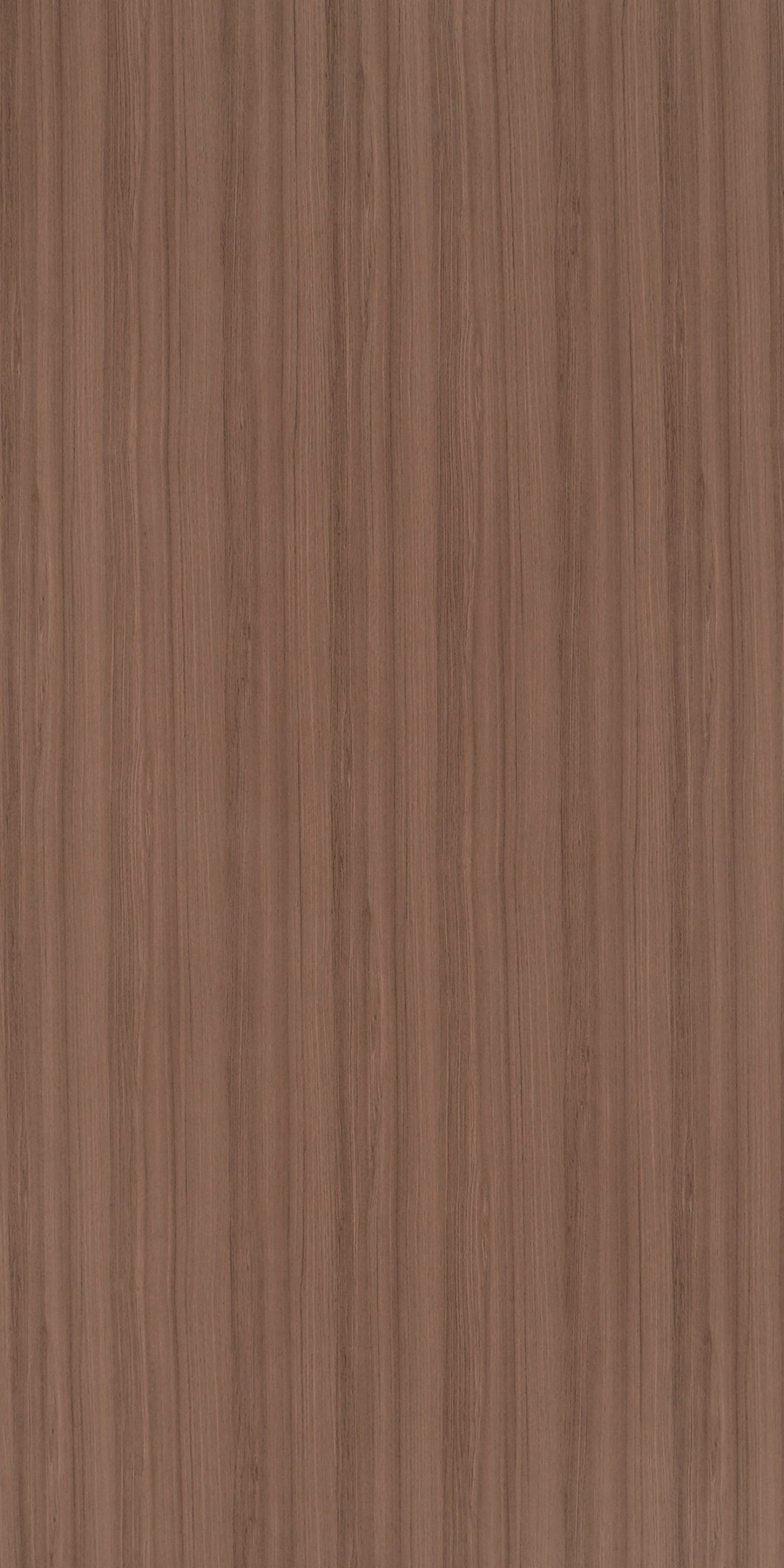 Xyloid Teak Laminates in EGYPT - Greenlam