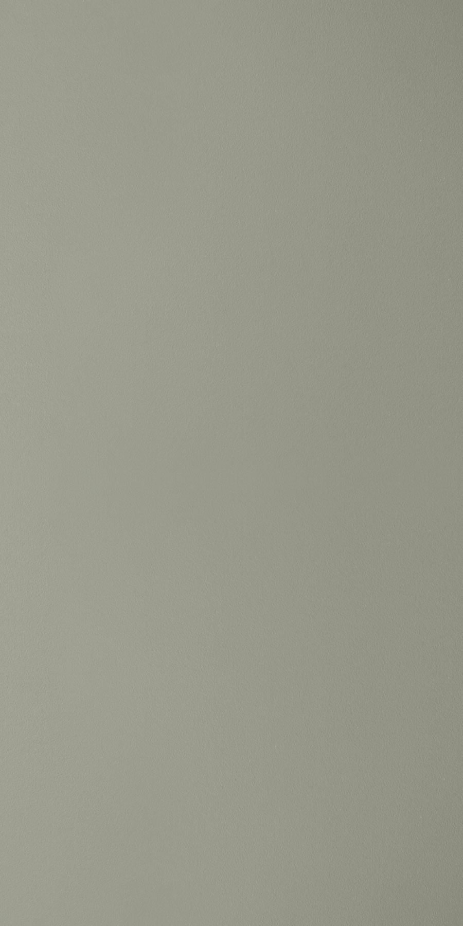 Buy ASH GREY Laminates with SATIN Finish in India - Greenlam Laminates